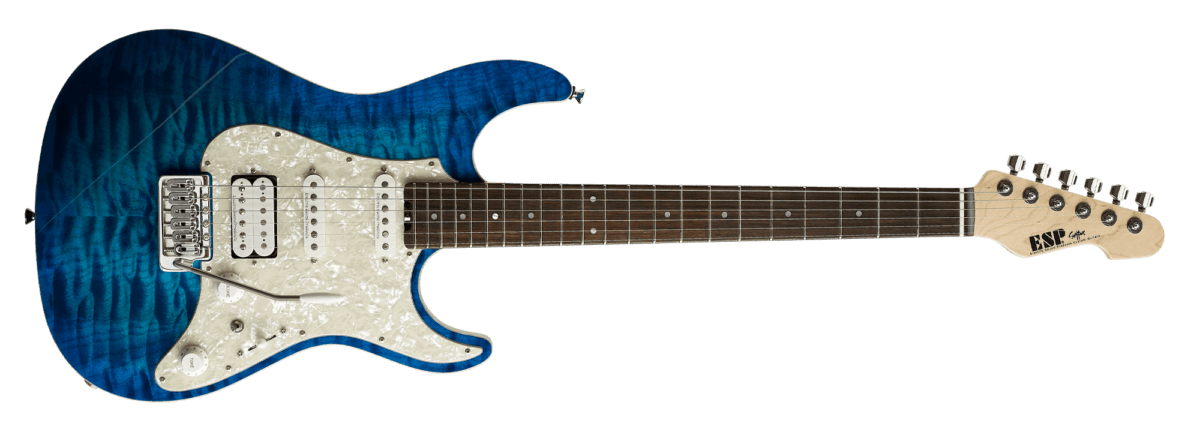 ESP SNAPPER 20th Anniversary Special Vol.10 – ESP Official Blog