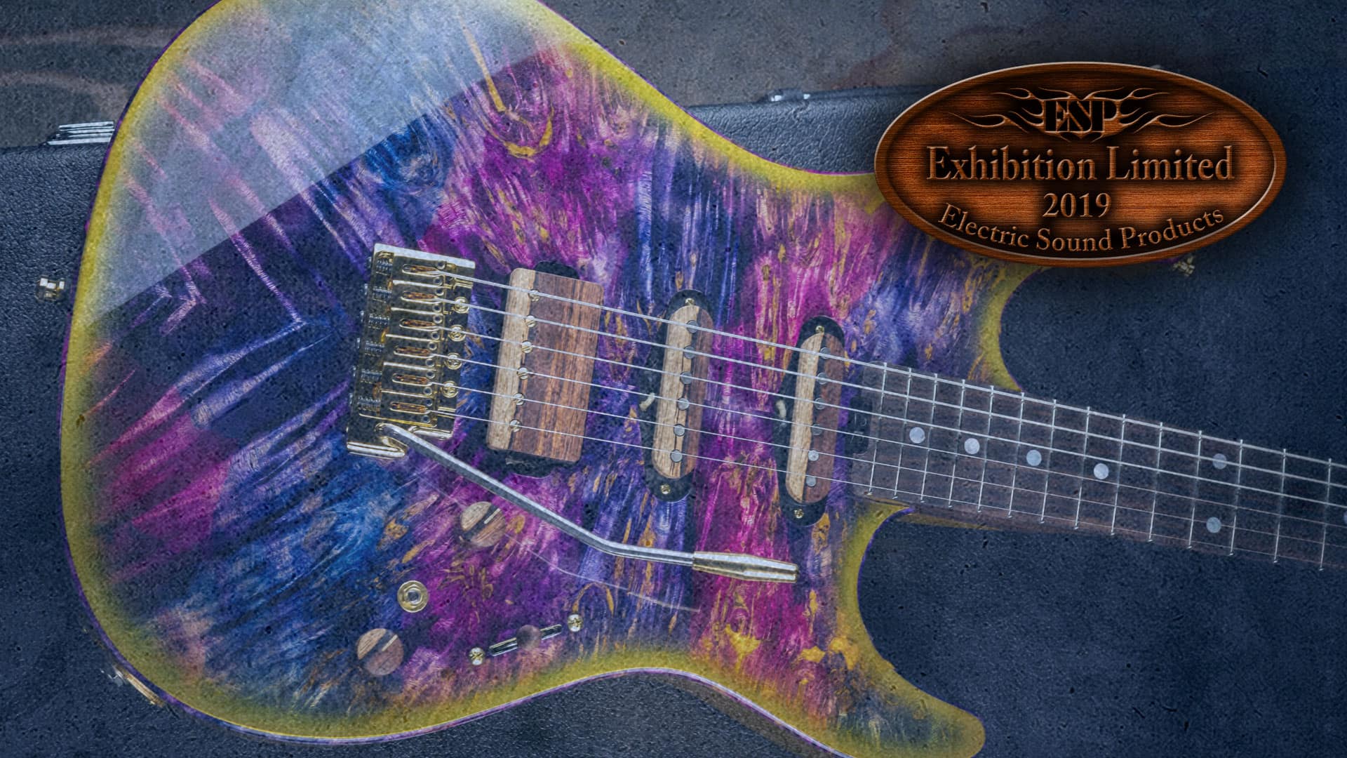 ESP GUITARS | ESP GUITARS